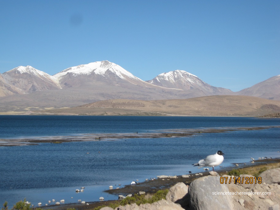 Lake Chungara, Chile – Explorer/Trekker