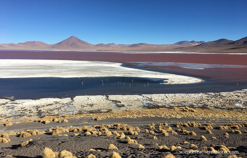 Laguna Colorada, Bol – Explorer/Trekker