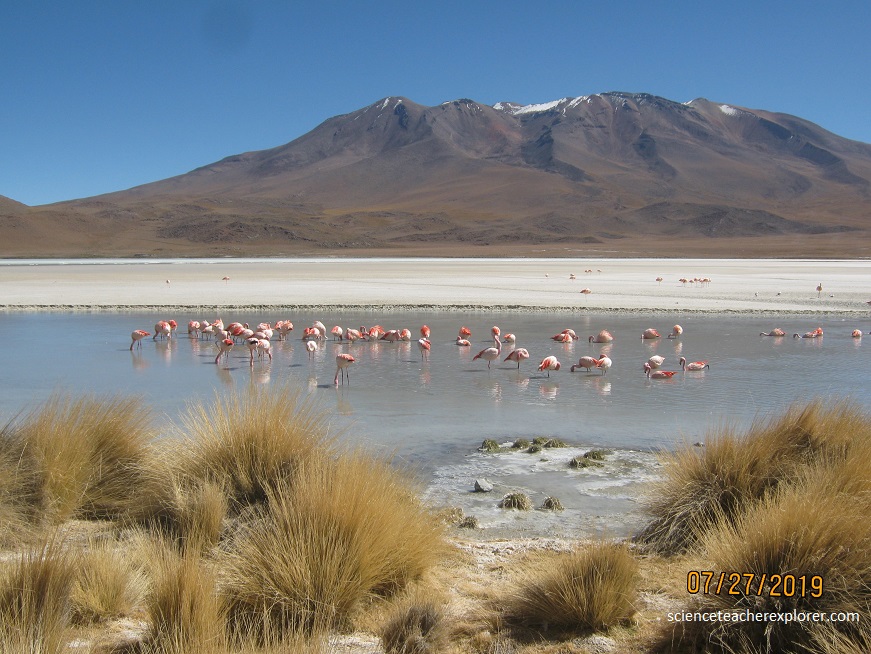 Laguna Colorada, Bol – Explorer/Trekker