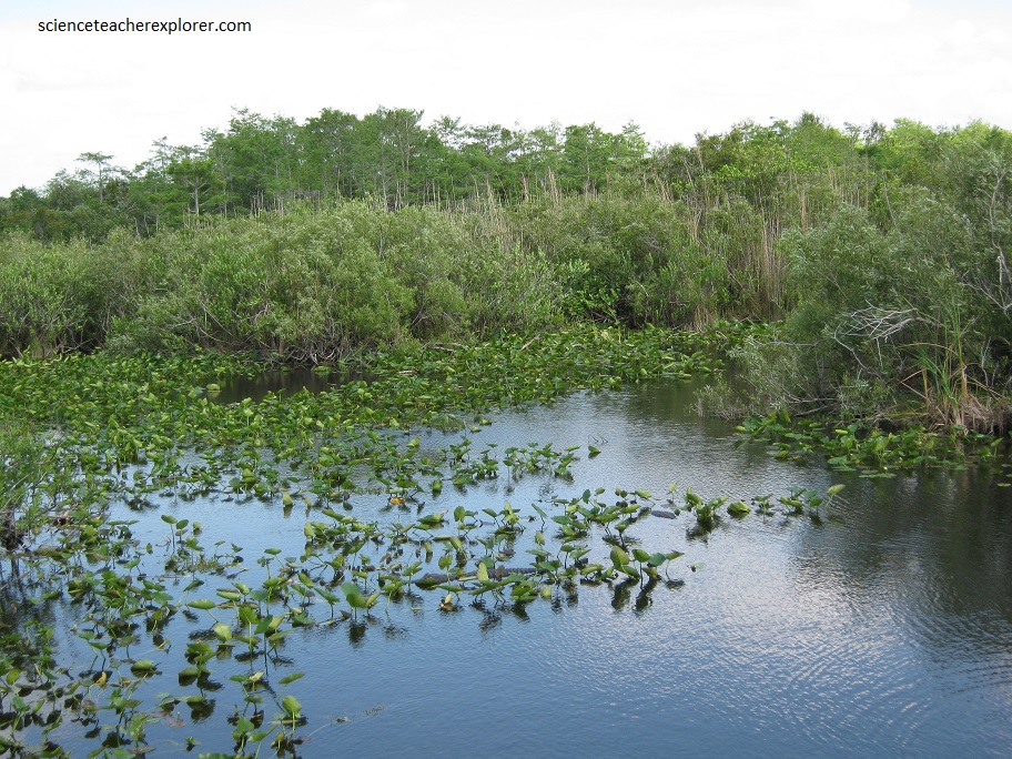 Everglades N.P., FL 2012 – Explorer/Trekker