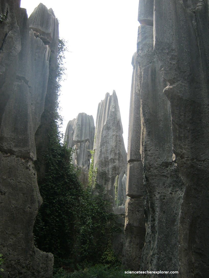 The Stone Forest, China – Explorer/Trekker