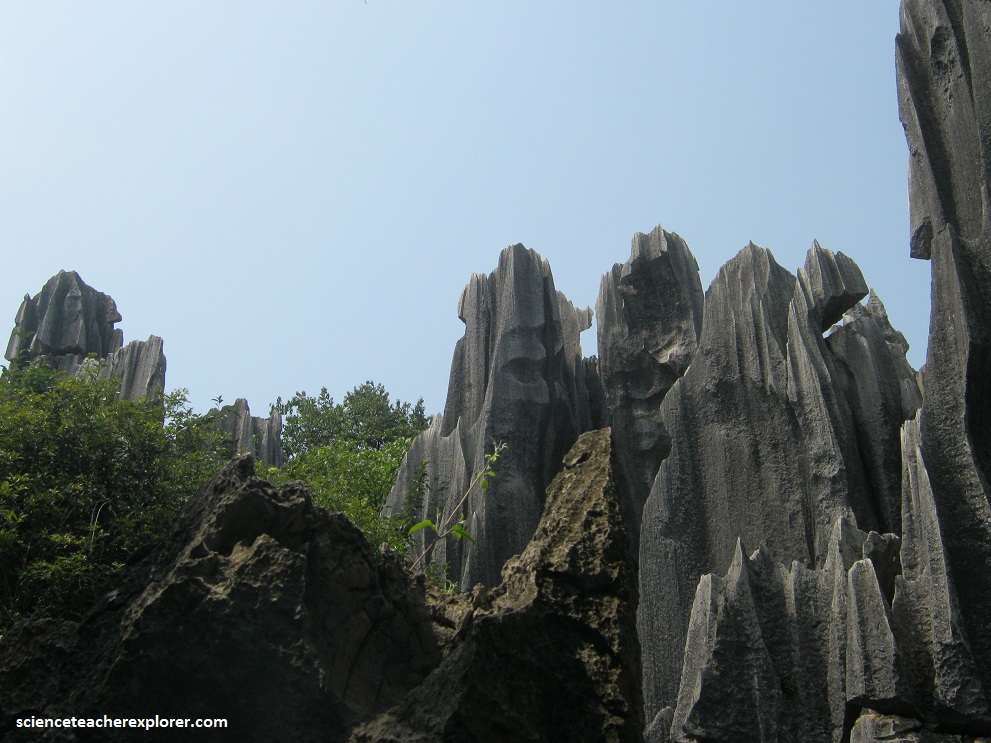 The Stone Forest, China – Explorer/Trekker