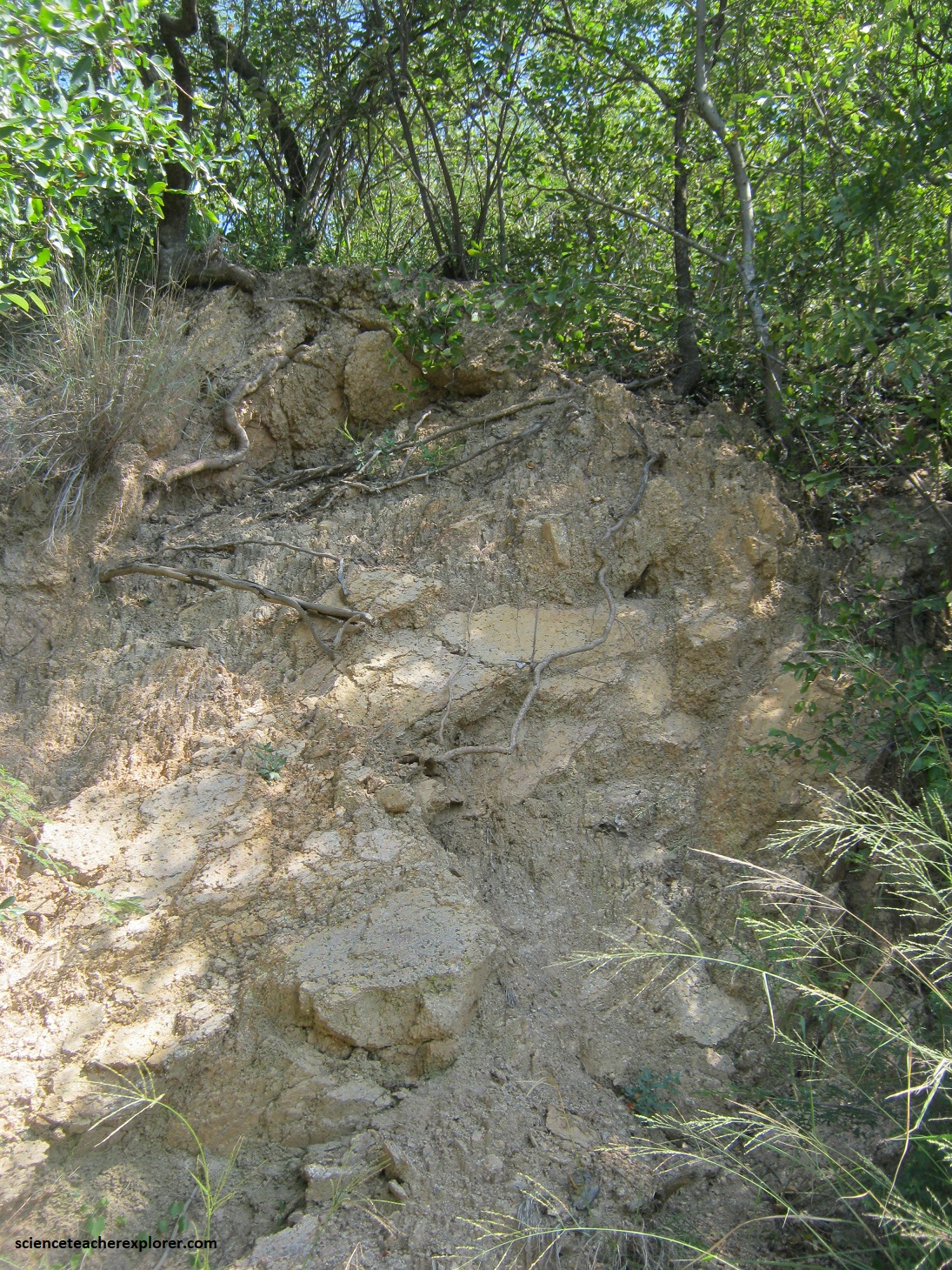 Tswaing Crater, S. Africa – Explorer/Trekker