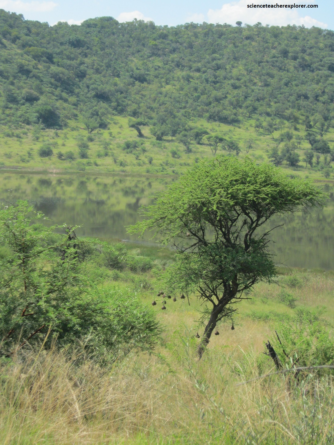 Tswaing Crater, S. Africa – Explorer/Trekker