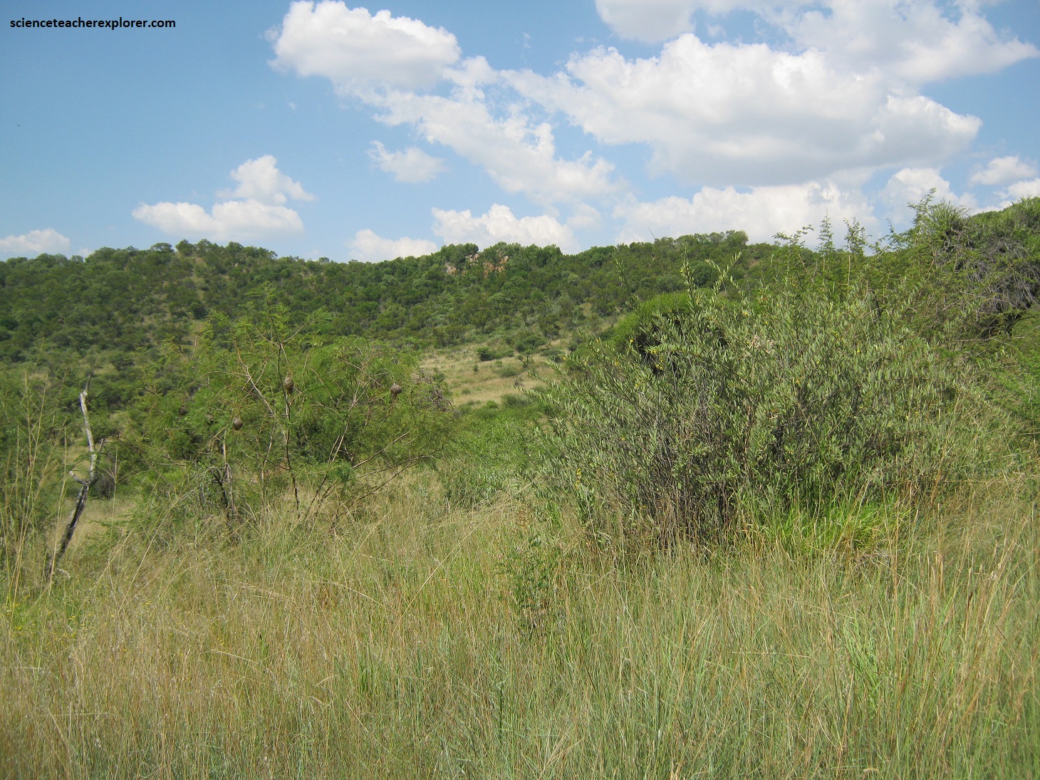 Tswaing Crater, S. Africa – Explorer/Trekker