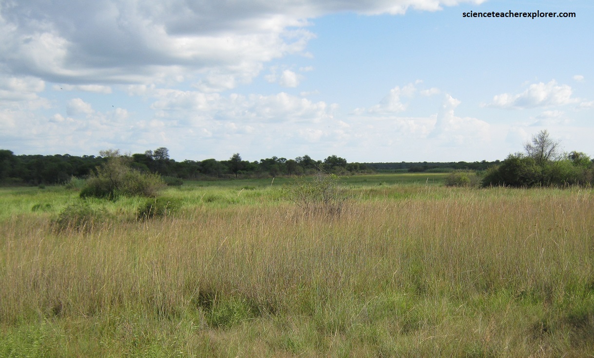 Nylsvley, S. Africa 2023 – Explorer/Trekker