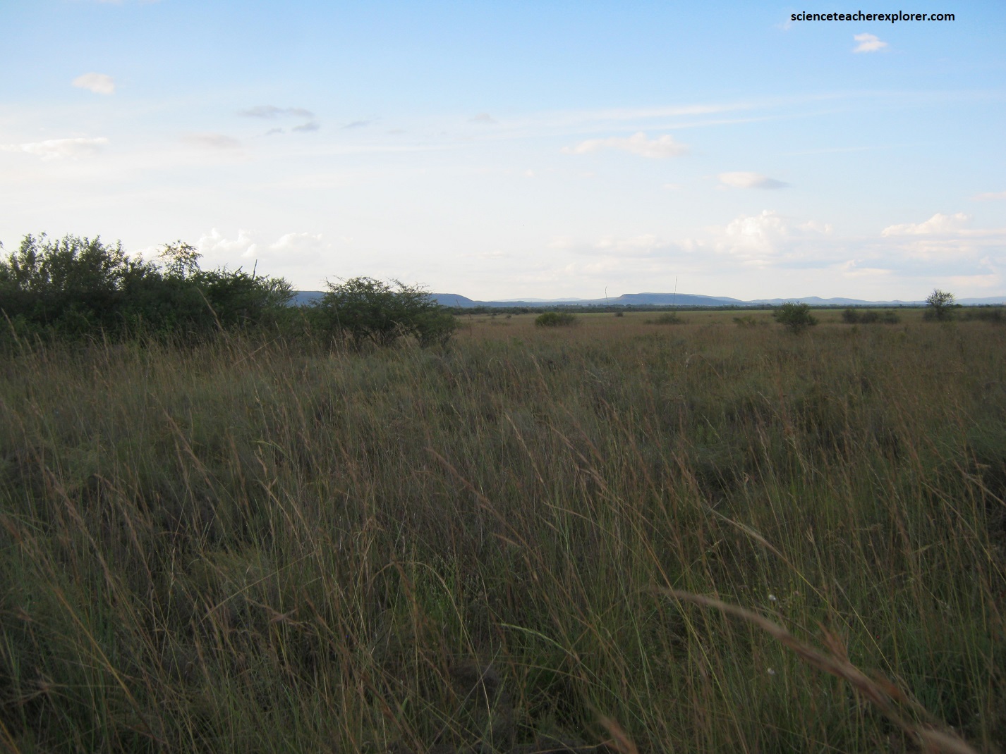 Nylsvley, S. Africa 2023 – Explorer/Trekker
